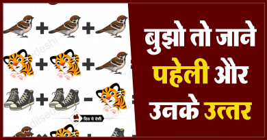 चिड़िया, शेर व जुते पहेली क्र. 12 का उत्तर| Bird, Lion and Shoe Picture ...