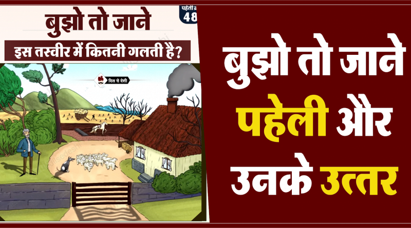  47 Finding In Image Puzzles With Answers Dil Se 