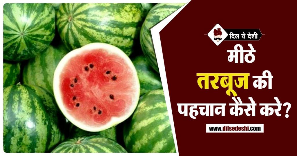 मीठे तरबूज की पहचान कैसे करे? | How to Identify Sweet Watermelon in Hindi