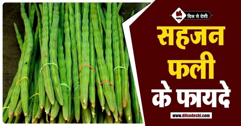 सहजन फली खाने के फायदे | Sahjan ki Fali ke Fayade in Hindi